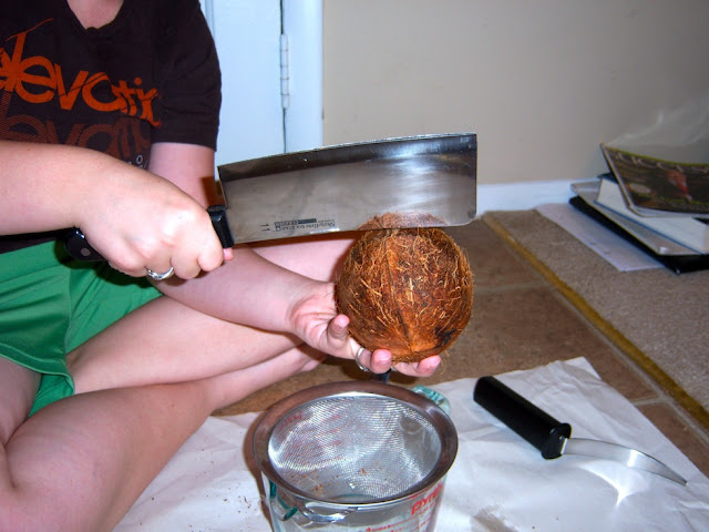 Healing Cuisine: Product Review: The Coconut Tool + NEW RECIPES!!!!