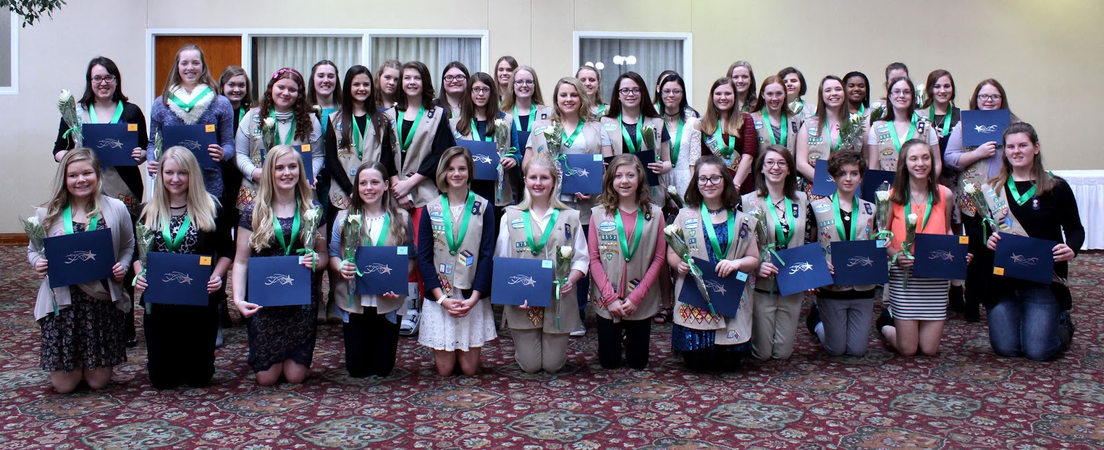 Girl Scouts of Southern Illinois: 2017 Girl Scout Silver Award ...