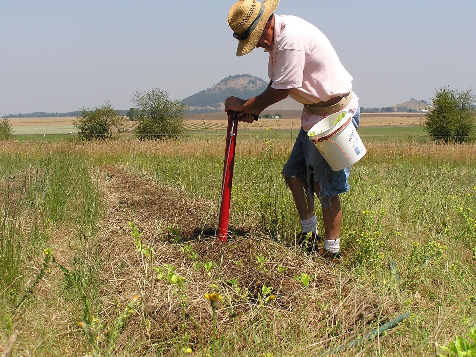 Bare Mtn Farm: Quotable Sunday:Natural Farming:Season 2