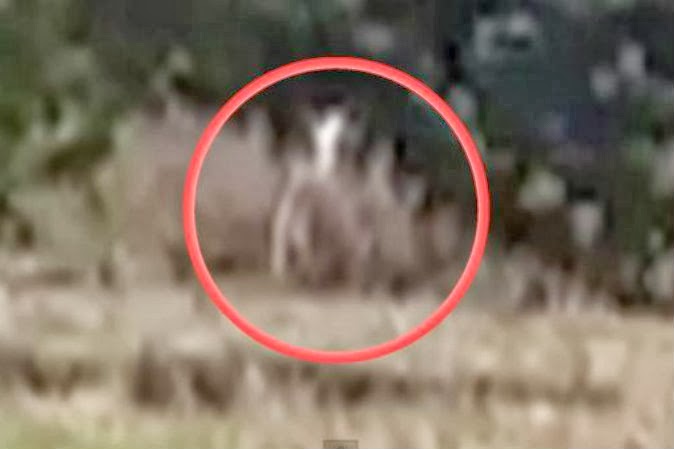 Real Life Cam 24 7 - bpobird