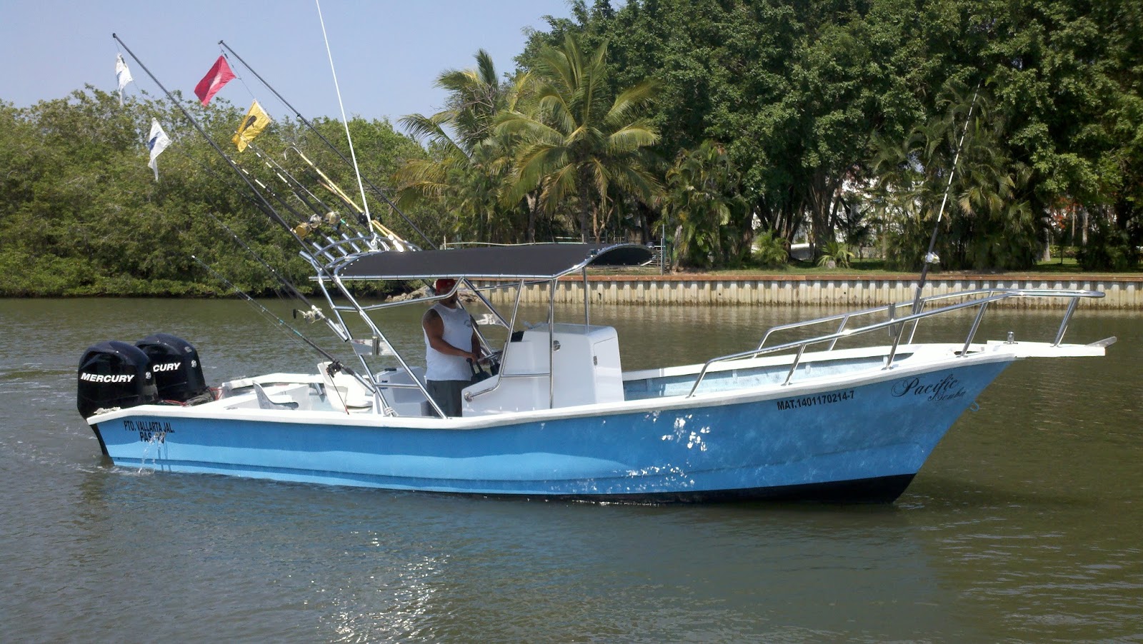 PV Sportfishing: 29ft Super Panga for up to 4 people