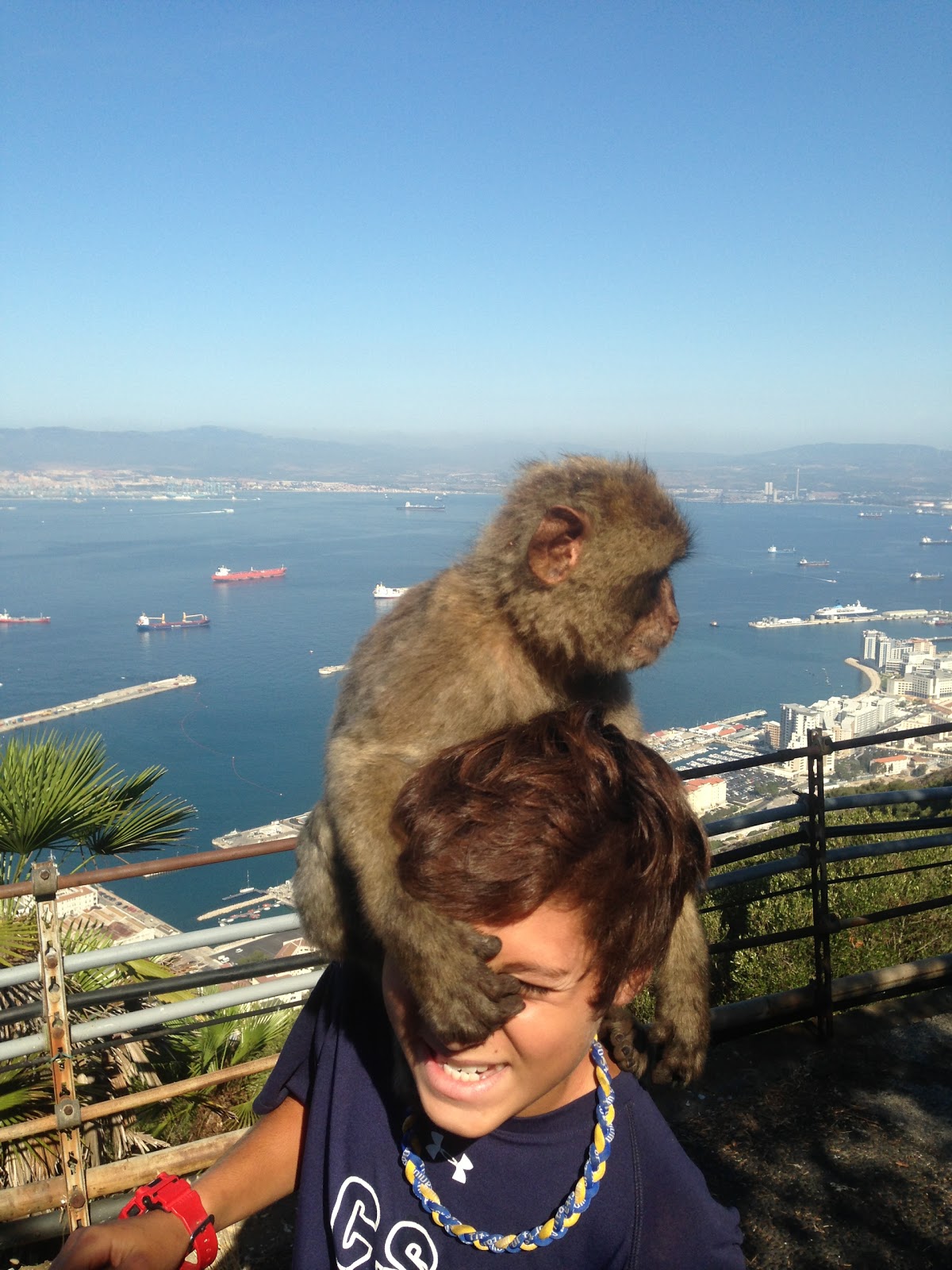 LastingerTravelBlog: Gibraltar by Mac