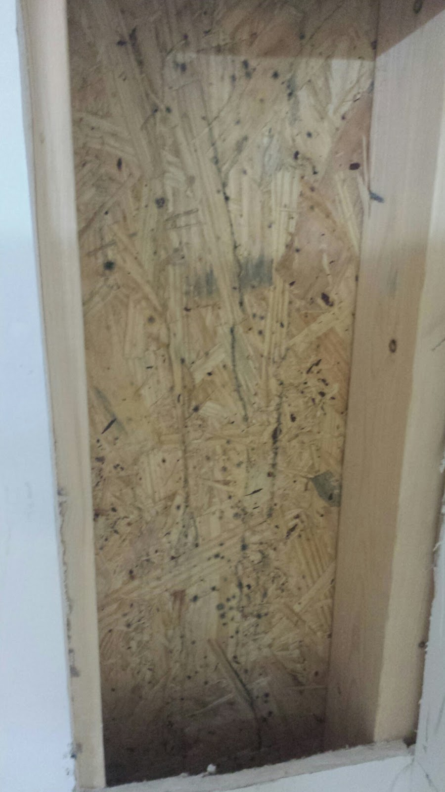 Building a Wayne Home - Jamestown Model (PA)