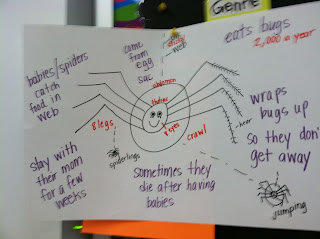 First Grade Fabulous Fish: Pumpkins, Spiders, and Bats . . . Oh, MY!!!