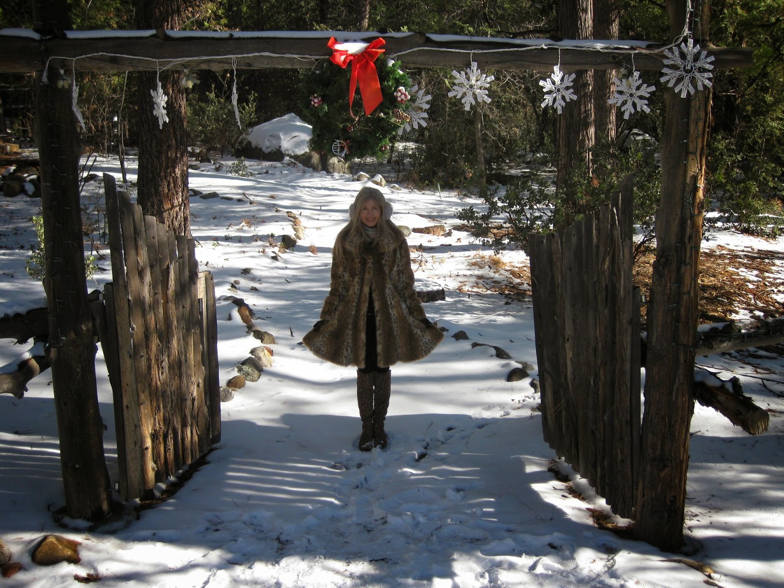 Meandering with Billee: Meandering with Billee in Idyllwild California