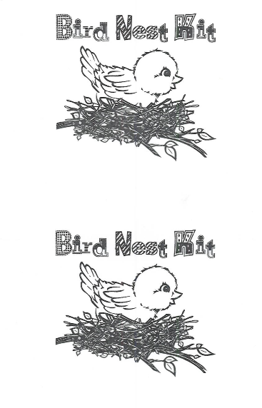 Kindergarten: Holding Hands and Sticking Together: Birds, Nests, and ...