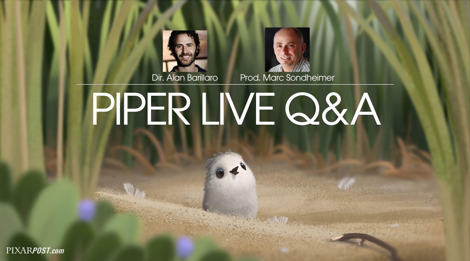 Live Q&A Session with 'Piper' Director, Alan Barillaro and Producer ...