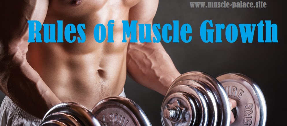 Muscle Palace: 10 Rules of Muscle Building