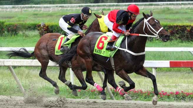 ENSALADA DE VAINITAS por Winston Hernández "Donde hay hipismo, lo ...