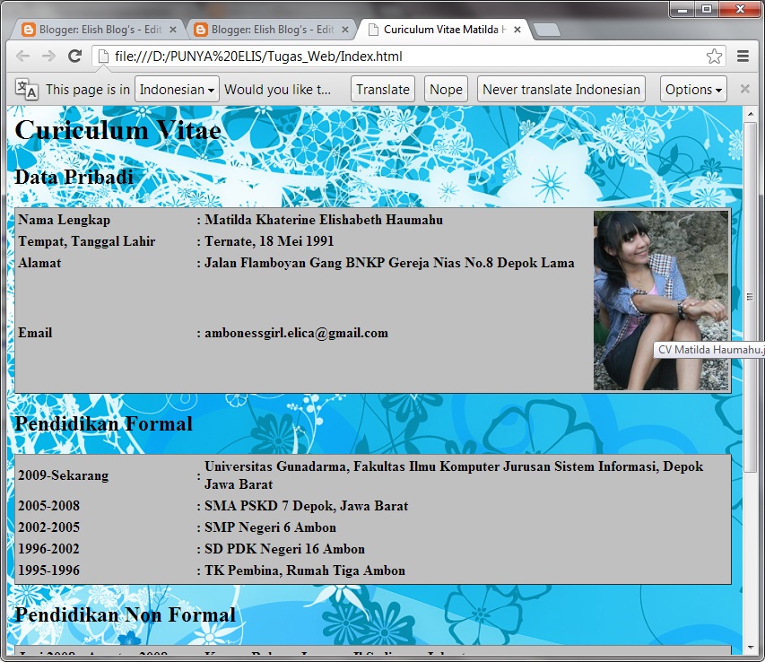 Elish Blog's: Belajar Menghias HTML dengan CSS