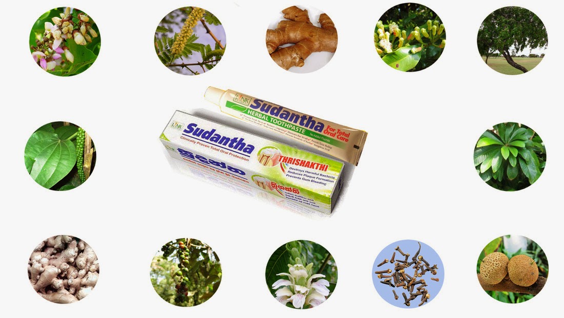 Ayurvedic Herbal Toothpaste