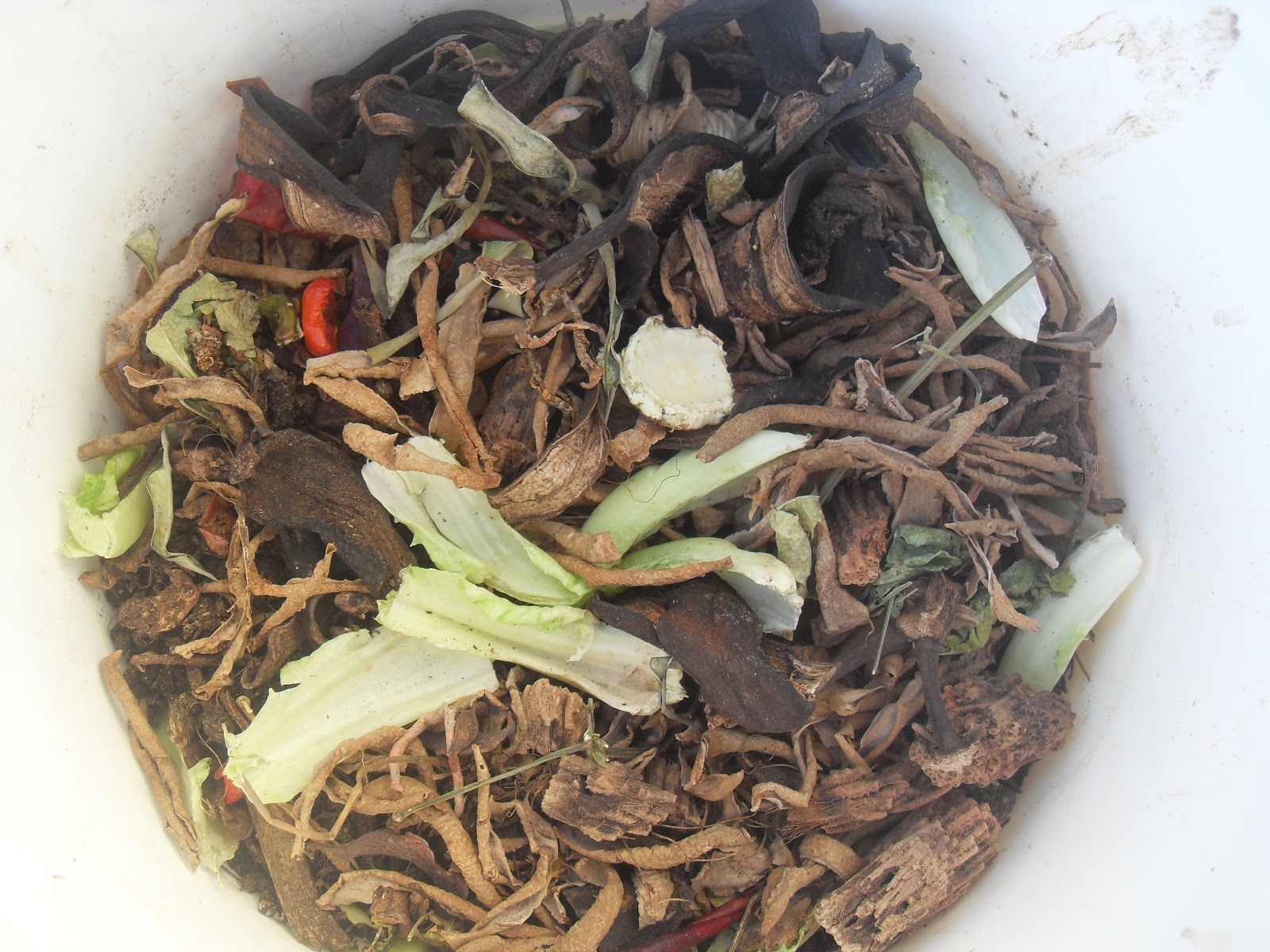 The Scientific Gardener: Composting with Grubs