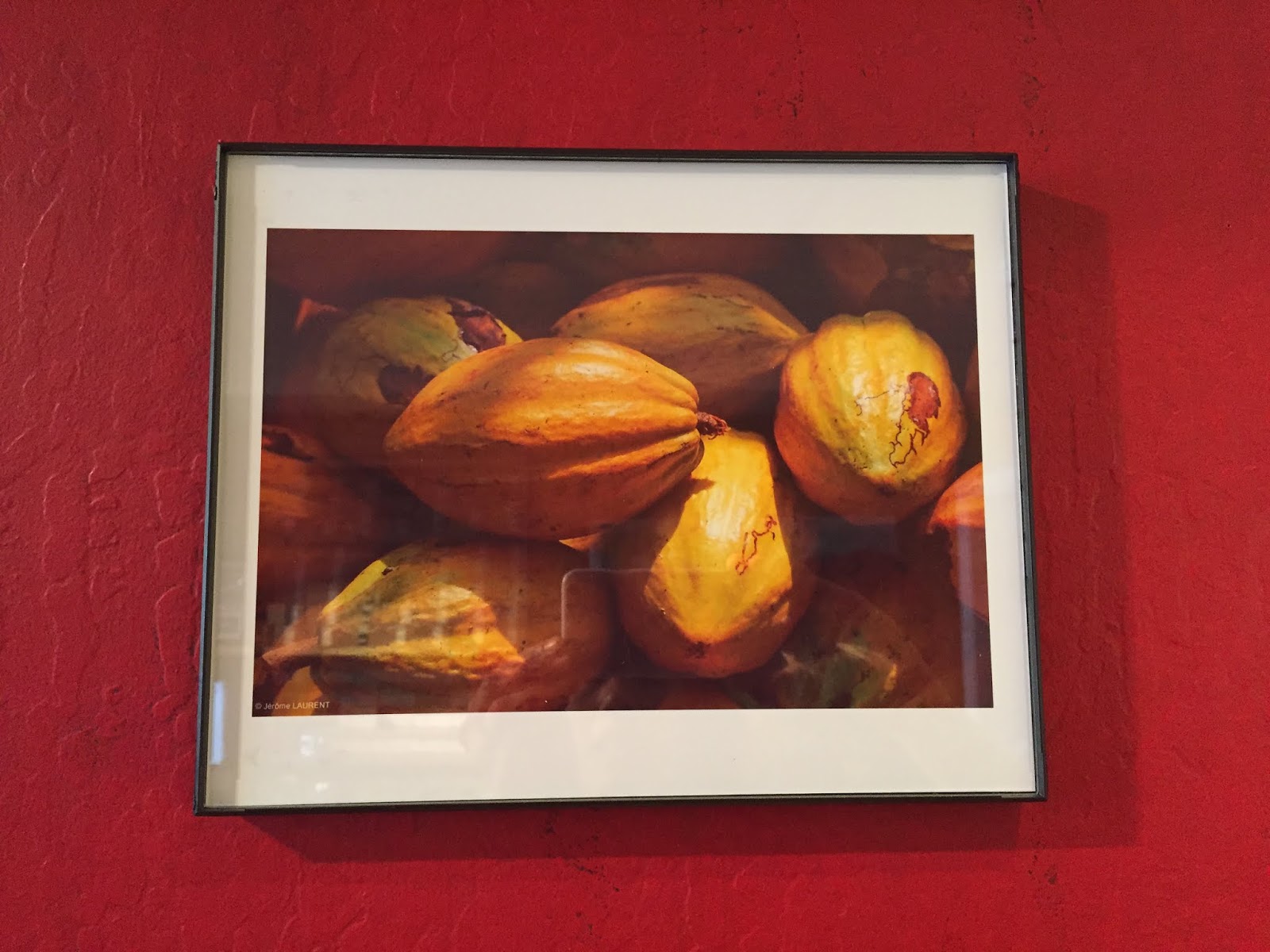 Bay Area Day Trips - Claudio Corallo Chocolate Tasting Tour