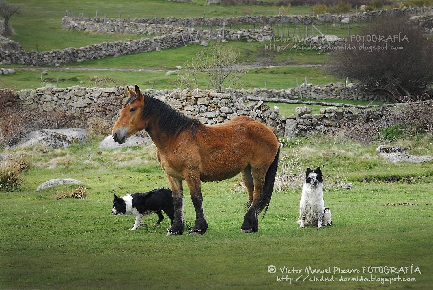 Ciudad-dormida: ¿Por qué hacer Turismo Rural? Razones por las que ...