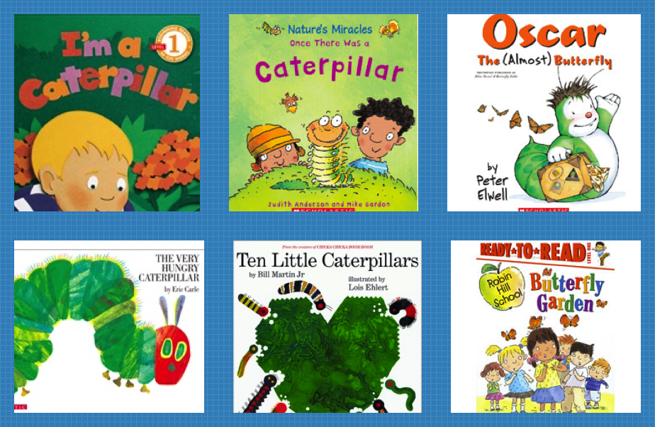 Caterpillars and Butterflies- Oh My! | Time 4 Kindergarten