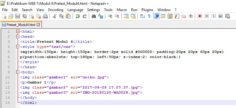 Praktikum Pemrograman Web 1 Modul 4 (CSS)