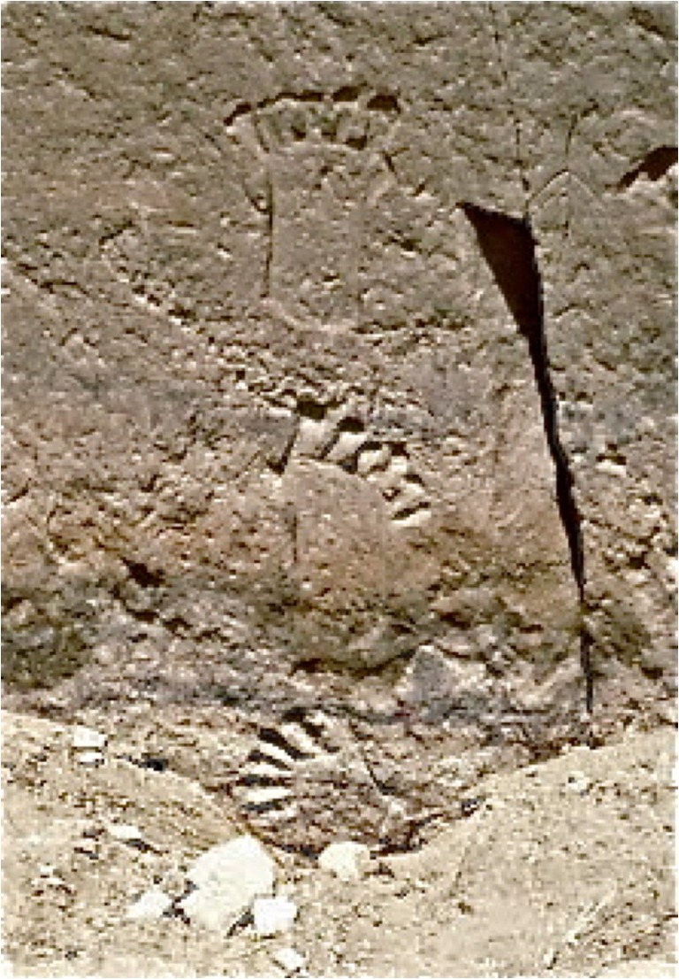 Giants With Six Fingers and Six Toes