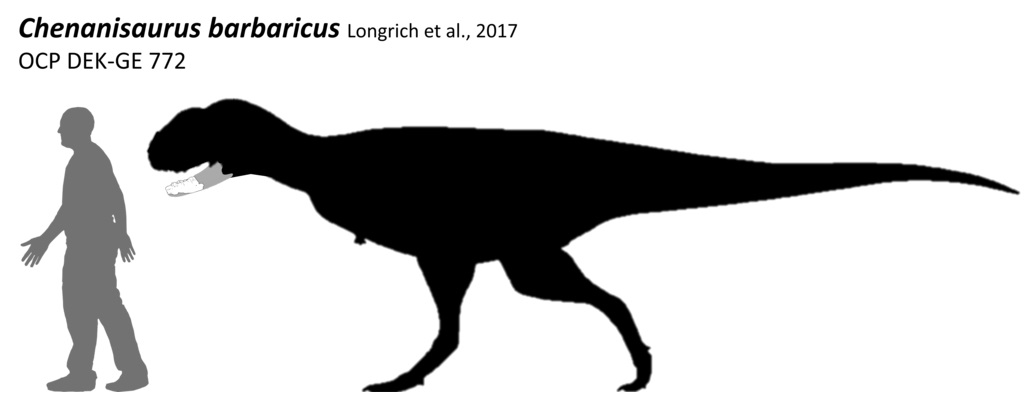 Species New to Science: [Paleontology • 2017] Chenanisaurus barbaricus ...