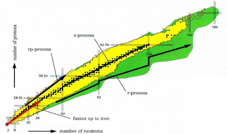 Section 2.4 - Stellar Nucleosynthesis and Degenerate Matter ...
