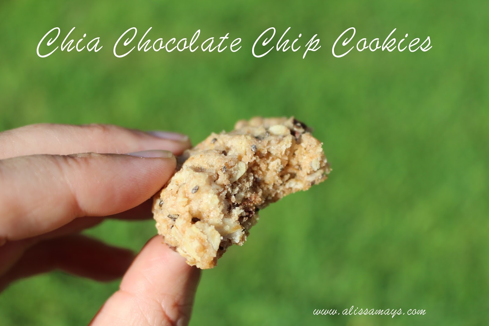 Alissamay's: Chia Chocolate Chip Cookies