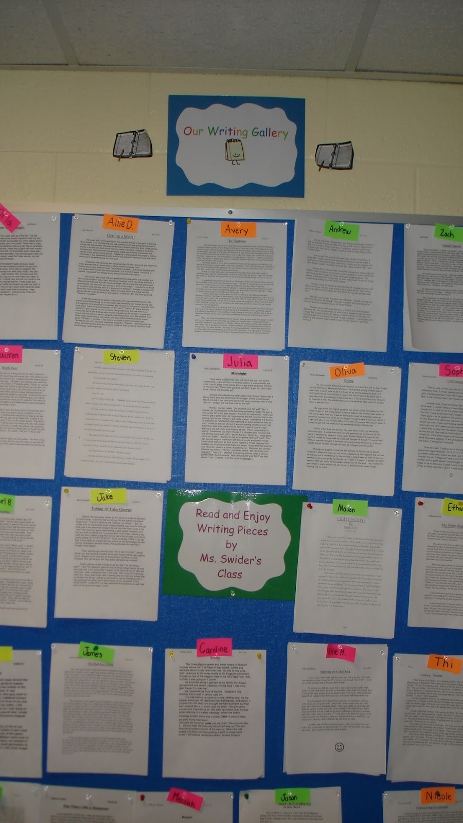 Two Reflective Teachers: Bulletin Boards and Charts