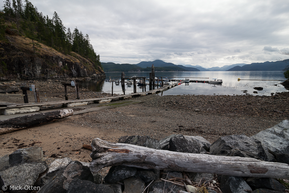 Mick's marine biology: Seascapes and Rock Bay's jetty