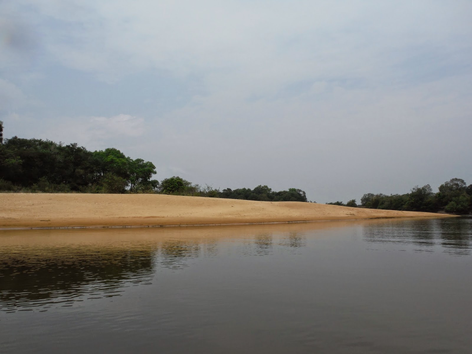 Espacio de Pesca: Pesca payara en el Rio Yucao y Manacacias, Puerto ...