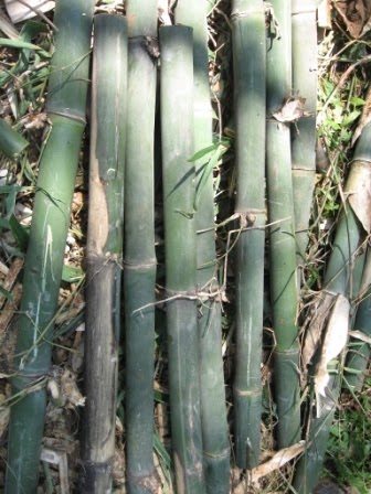 RUMAH KAIL: Pembuatan dan pemasangan rucuk bambu