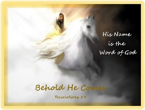 Into The King's Garden: Come Quickly; Lord Jesus!