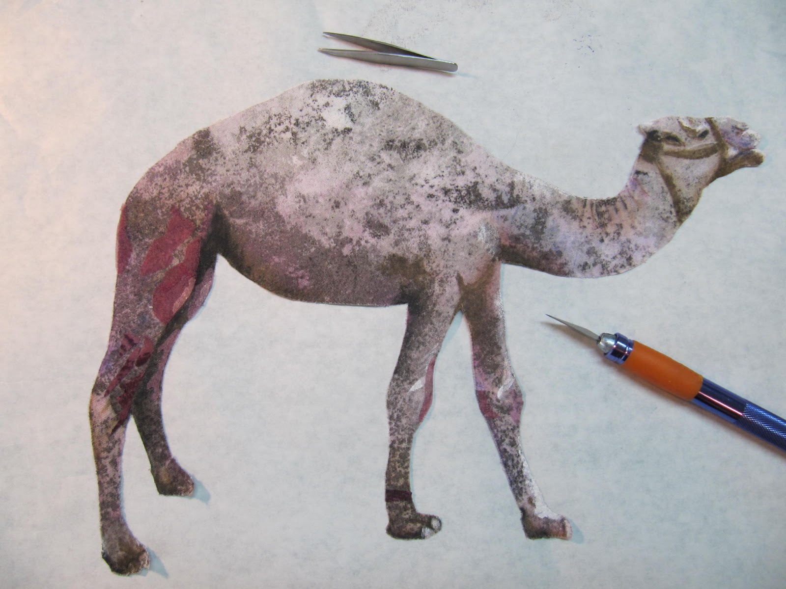 Many Hues: Second Kick at the Camel