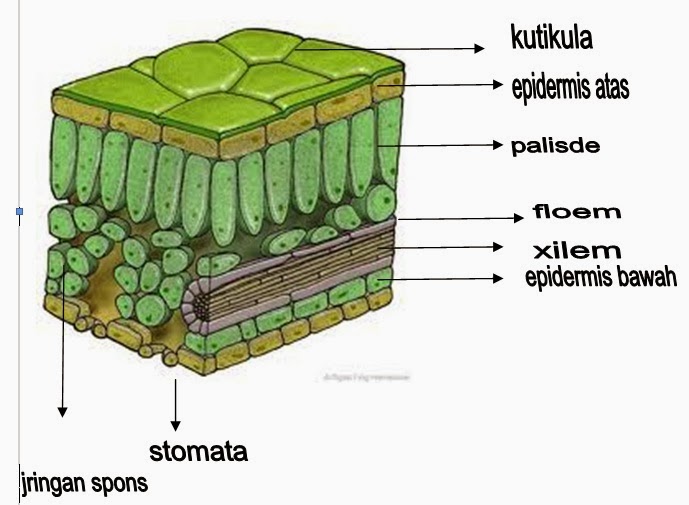tugas ICT lanjutan smtr 3: tugas ICT lanjutan