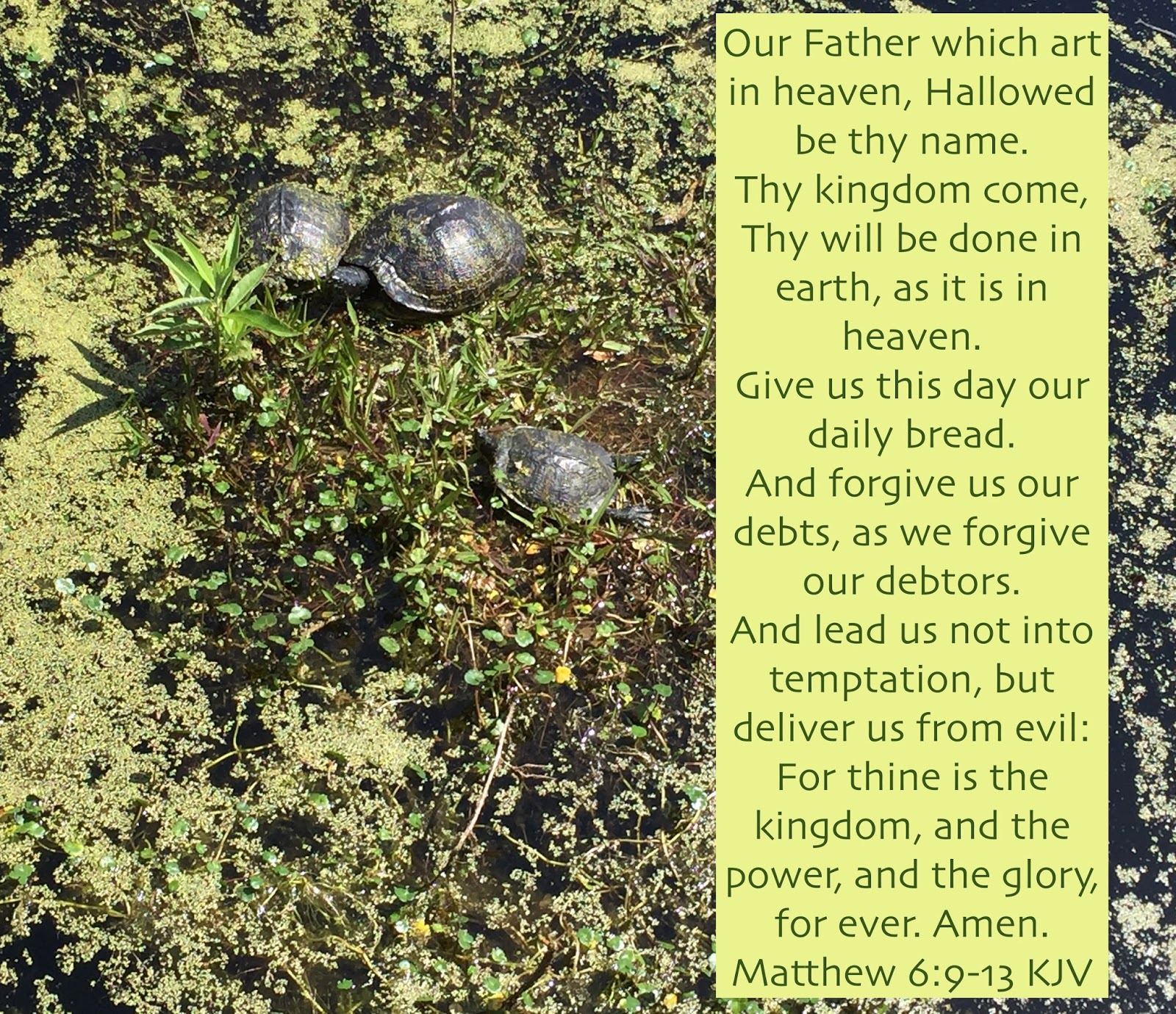 My Strength: Matthew 6:9-13 - "Tell Your Heart To Beat Again"