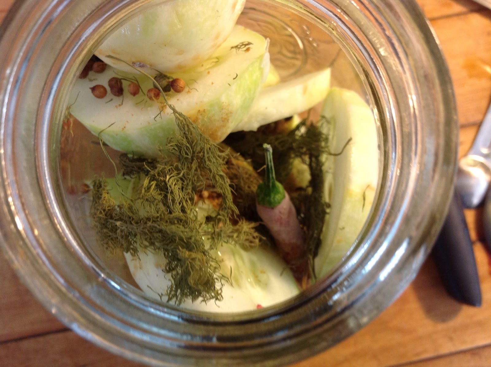 Blue Again, Like Morning: Fridge Pickles: hurry up and wait.