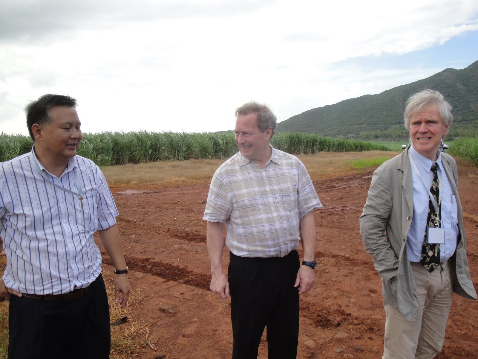 Developments in rural areas across the world: Sweet dreams are made of ...