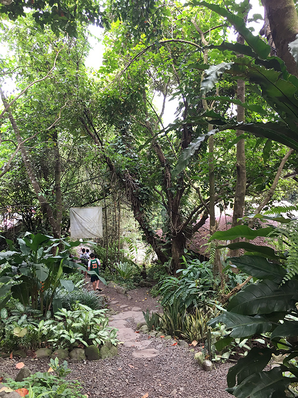 Mount Purro Nature Reserve: A Forest Farm Eco-Retreat in Calawis ...