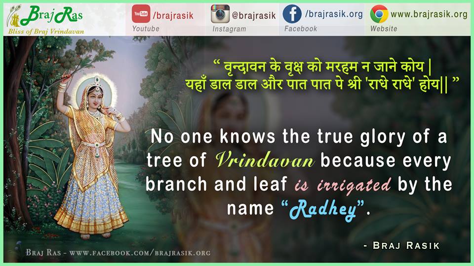 Braj Ras - Bliss of Braj Vrindavan