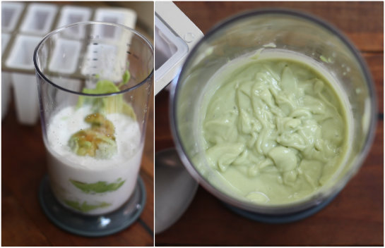 Recipe: Avocado, Coconut & Lime Frozen Pops | 17 Apart