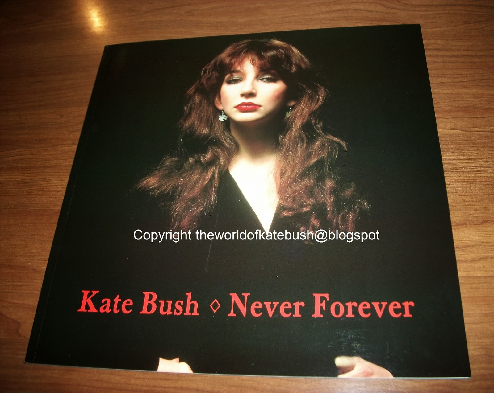 THE WORLD OF KATE BUSH: Never For Ever (Book)