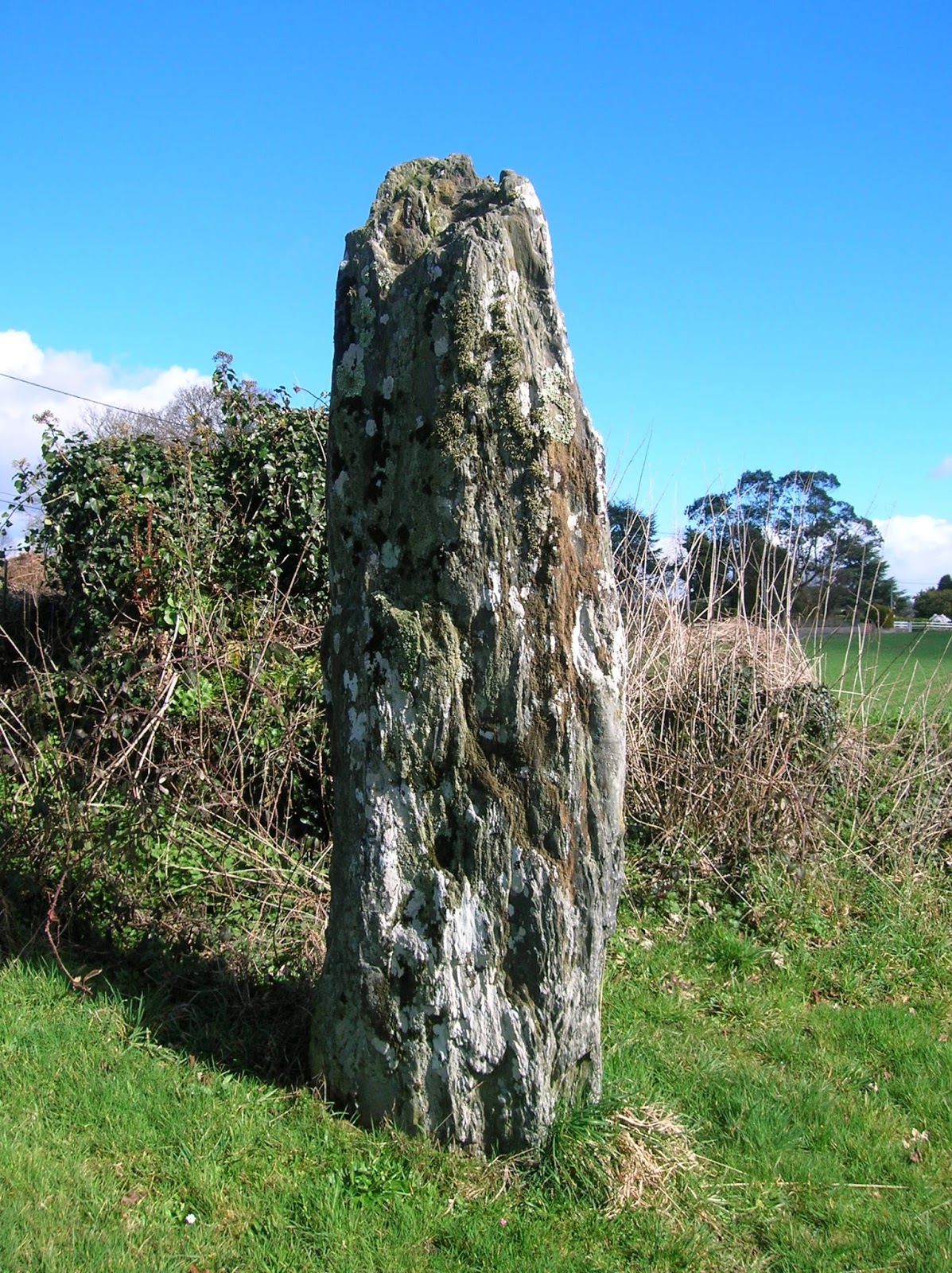 Rosquelfen: Mégalithe de Saint Mayeux
