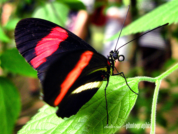 Photographis: May 2013