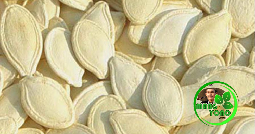 Cara membuat kuaci biji labu kuning