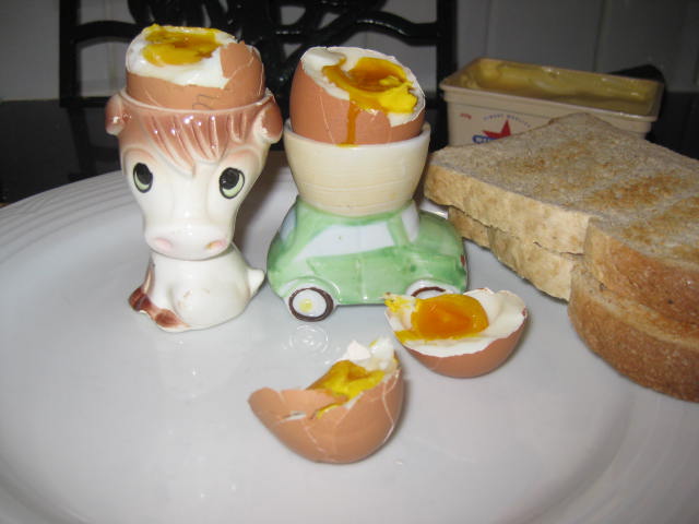 Silver Gulls: Soft boiled googie eggs