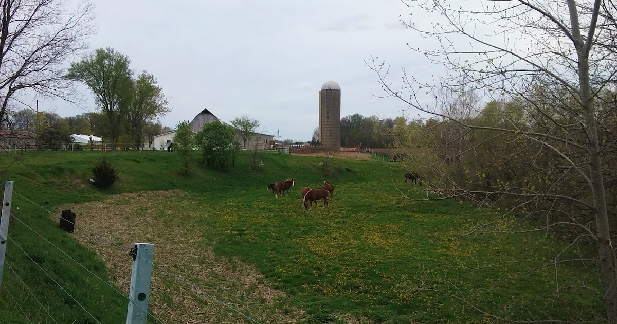 Sweet Home Indiana: A trip to Grabill