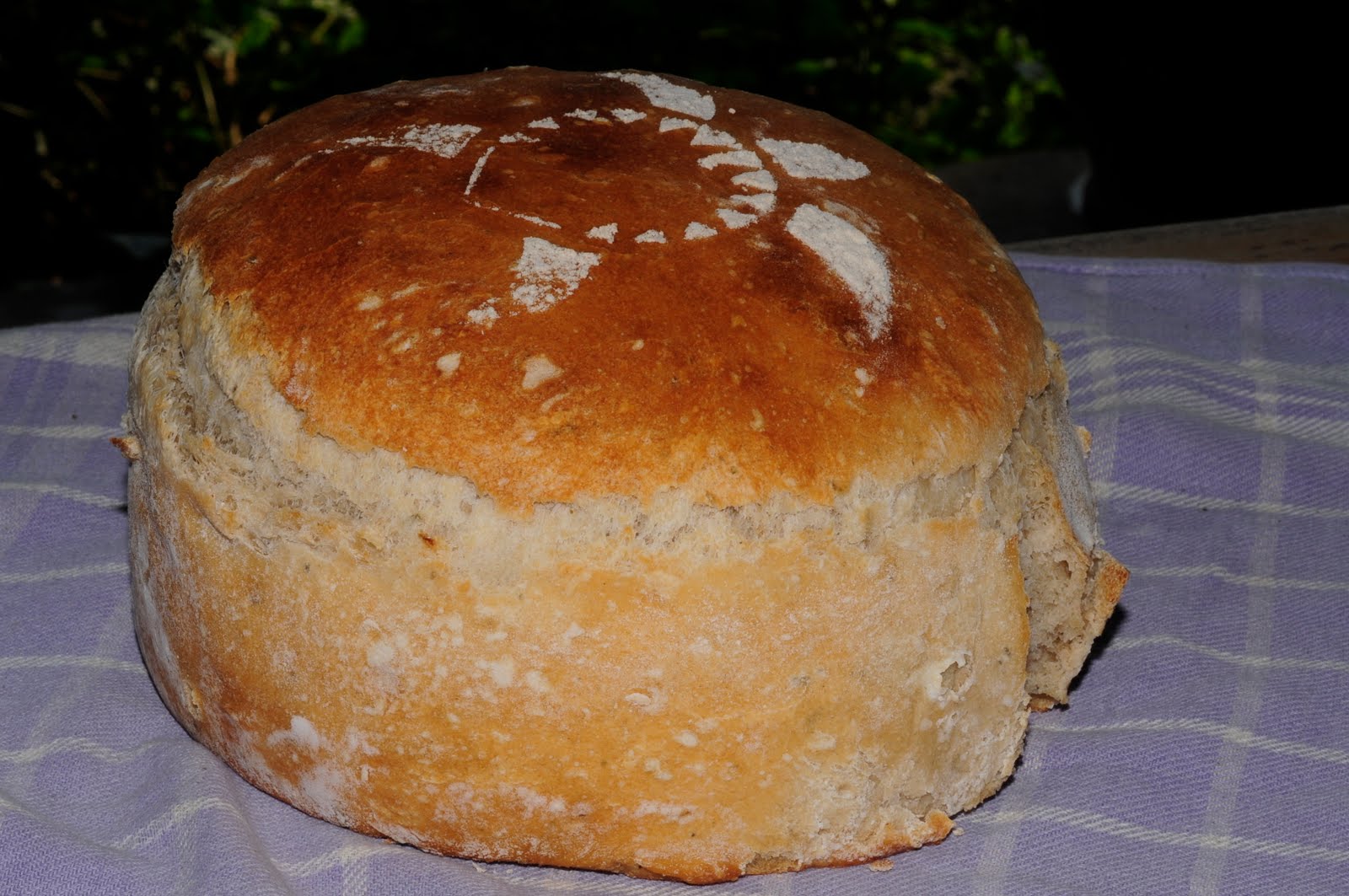 my discovery of Bread: Rewena paraoa (Maori bread)