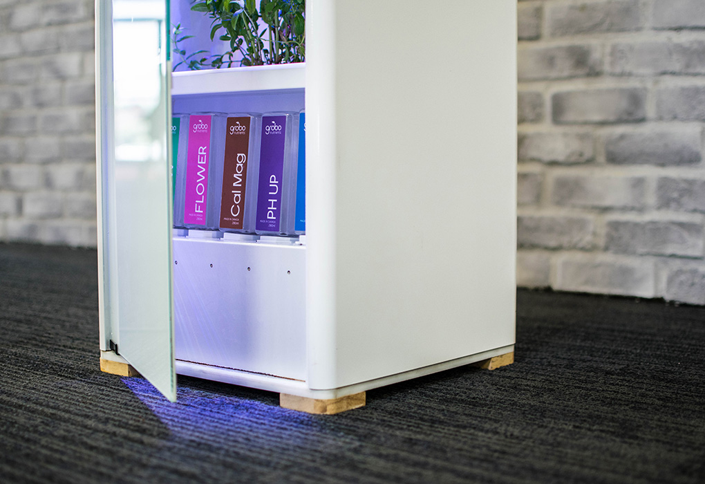 Grobo Smart Indoor Gardening System - The easiest way to grow food and ...