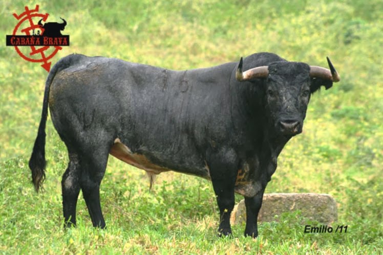 EL Rincón de Ordóñez: “FUENTES” PRIMER TORO CON SU AZULEJO EN LA VENTA ...