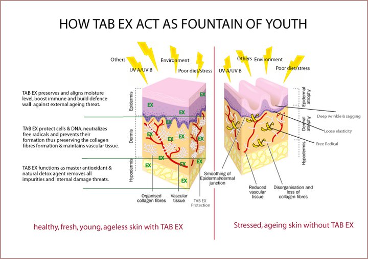 Azz's Beauty House: TAB EX DAN TAB XY