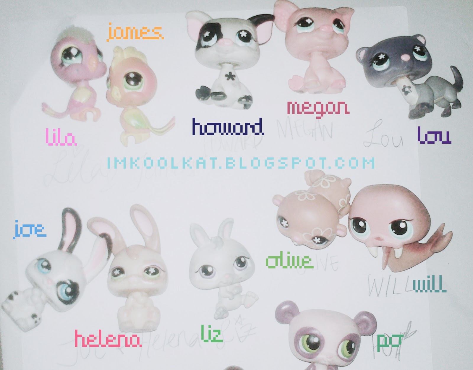 ImKoolKat | yoj0ker Official Blog ♥