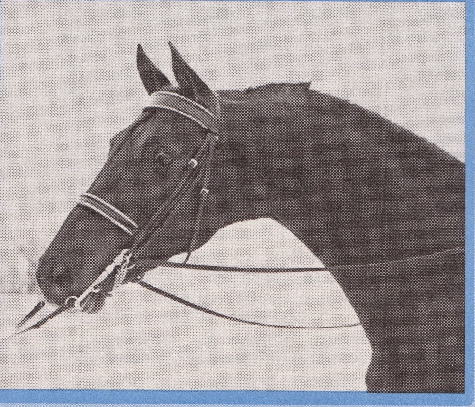 The American Saddlebred: 10/4/14 A look back at Michigan saddlebreds