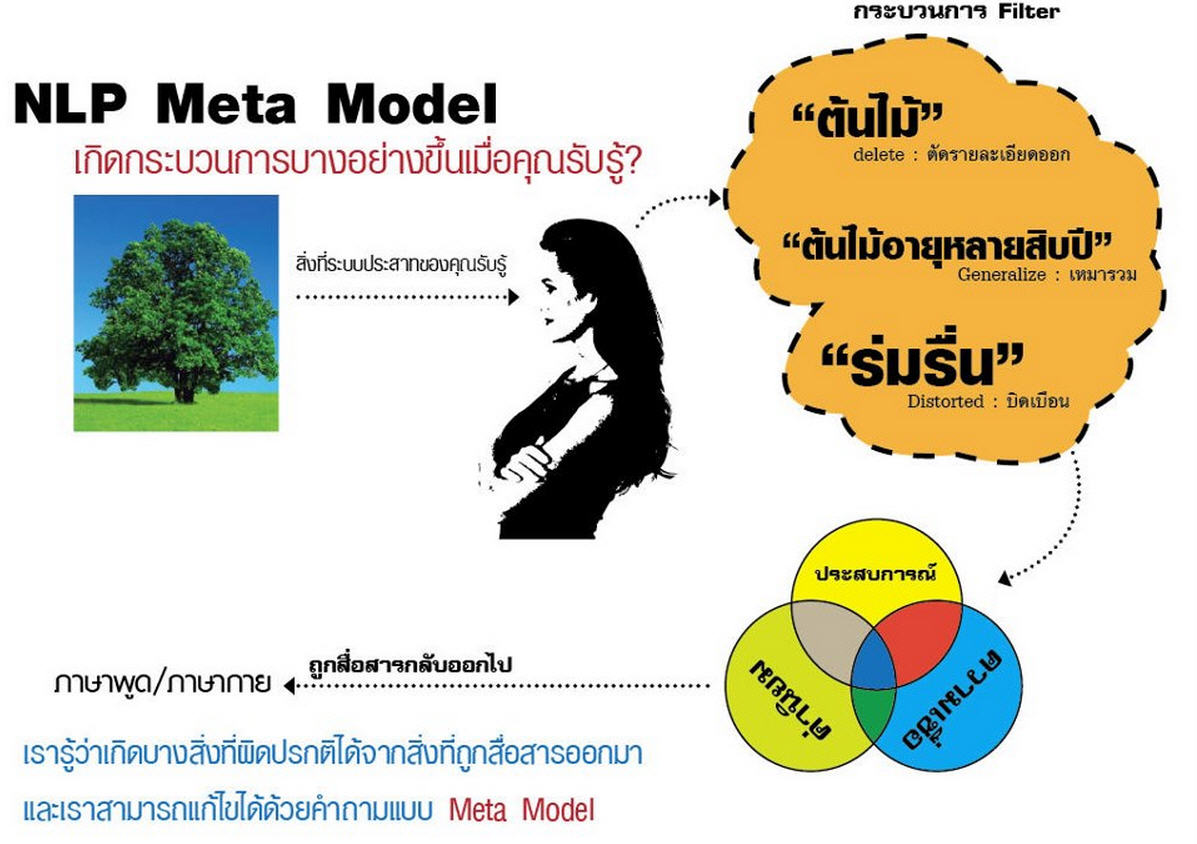 NLP วันล่ะนิด เทคนิคการ Hypnosis (สะกดจิต) วันล่ะหน่อย: Meta Model